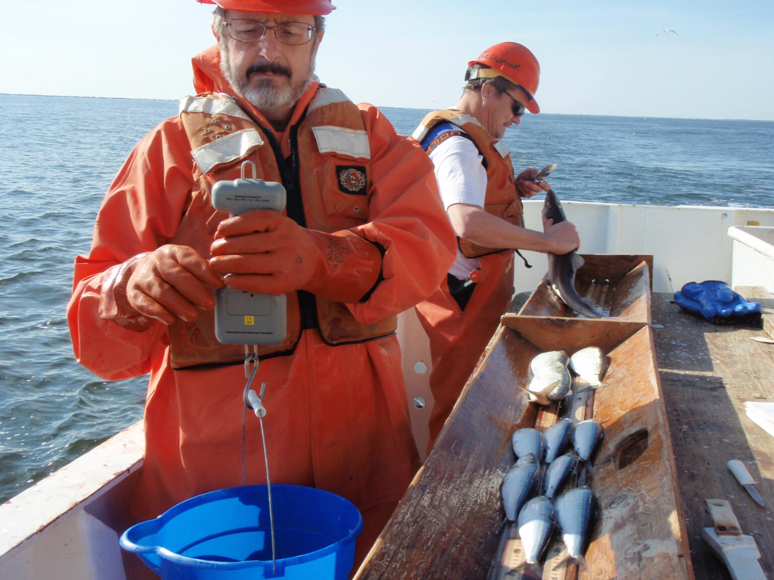 Home - Atlantic States Marine Fisheries Commission