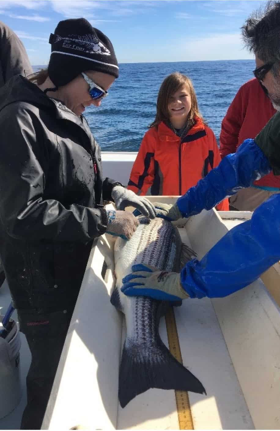 Tagging Research - Atlantic States Marine Fisheries Commission