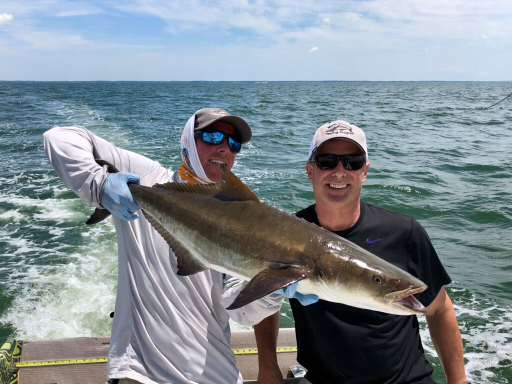 Cobia - Atlantic States Marine Fisheries Commission