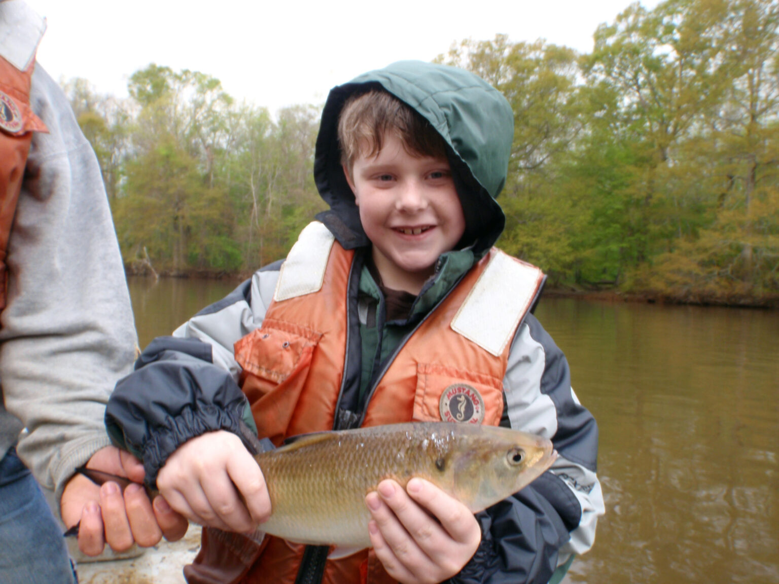 American Shad - Atlantic States Marine Fisheries Commission