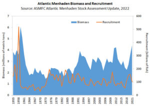 Atlantic Menhaden - Atlantic States Marine Fisheries Commission