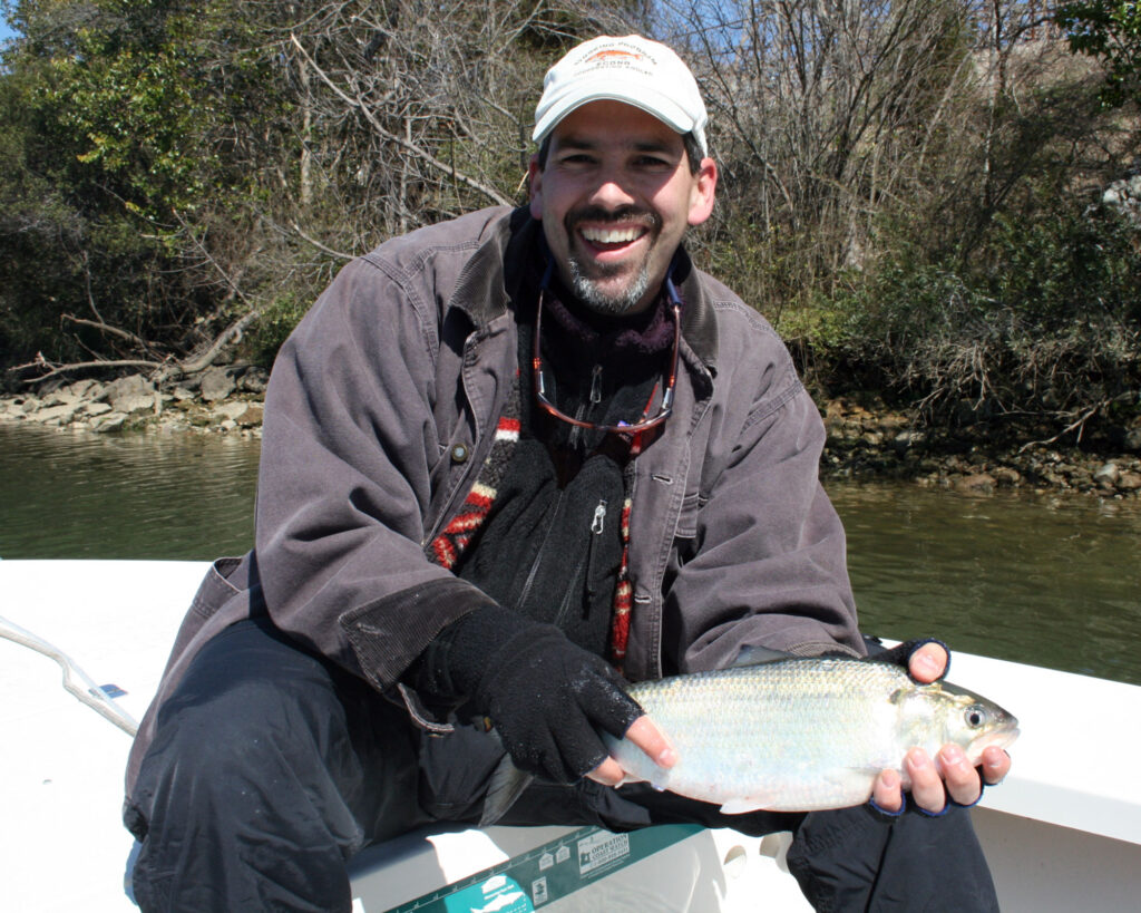 American Shad - Atlantic States Marine Fisheries Commission