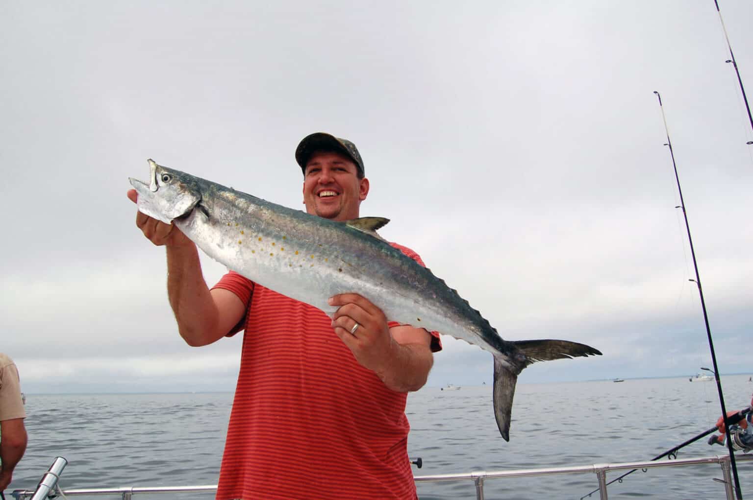 Spanish Mackerel - Atlantic States Marine Fisheries Commission