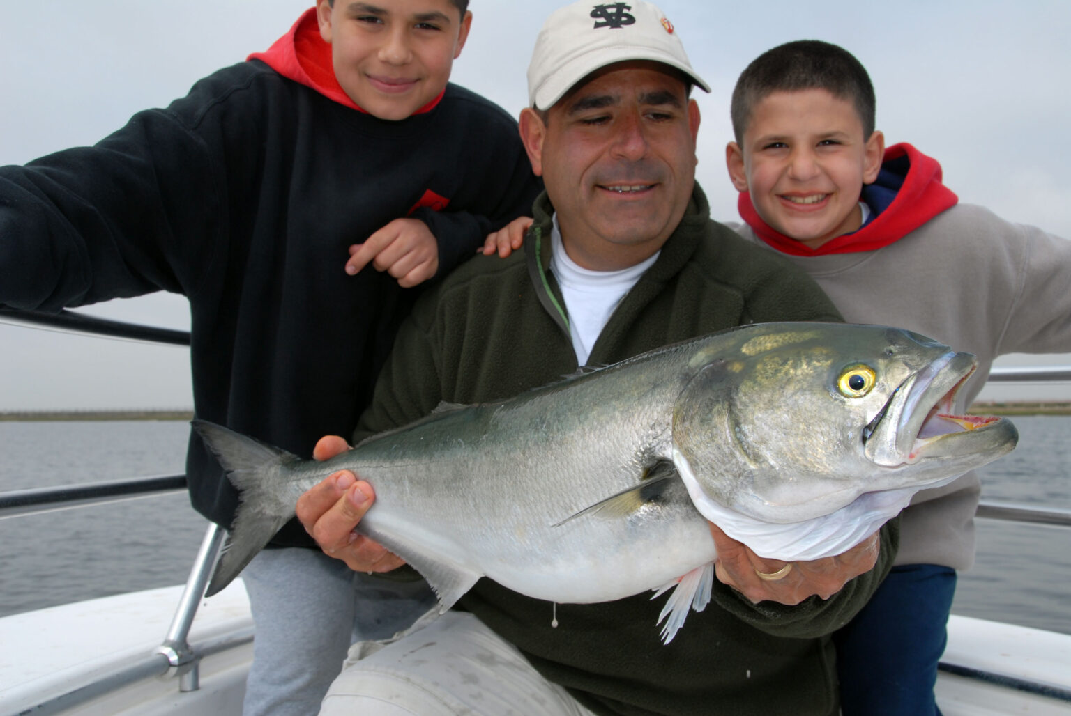 Bluefish - Atlantic States Marine Fisheries Commission