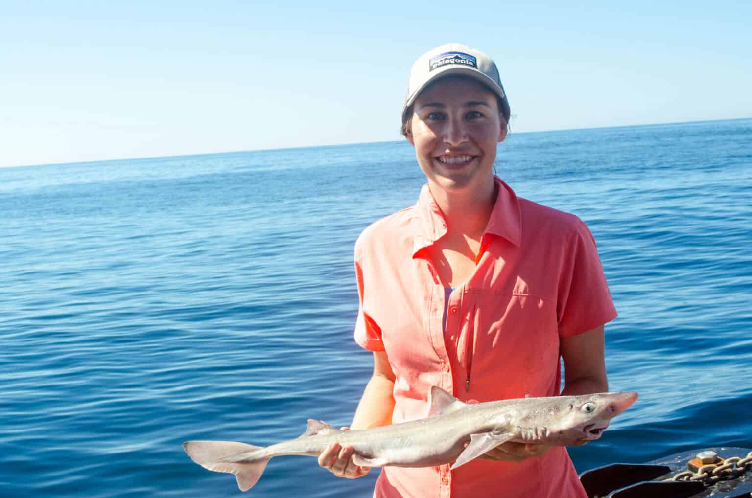 Spiny Dogfish - Atlantic States Marine Fisheries Commission