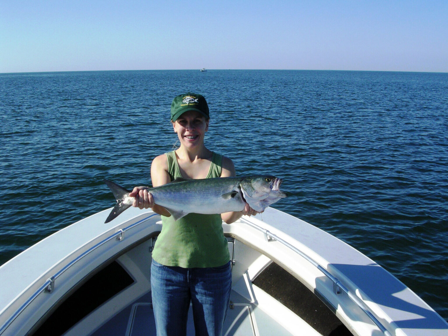 Bluefish - Atlantic States Marine Fisheries Commission