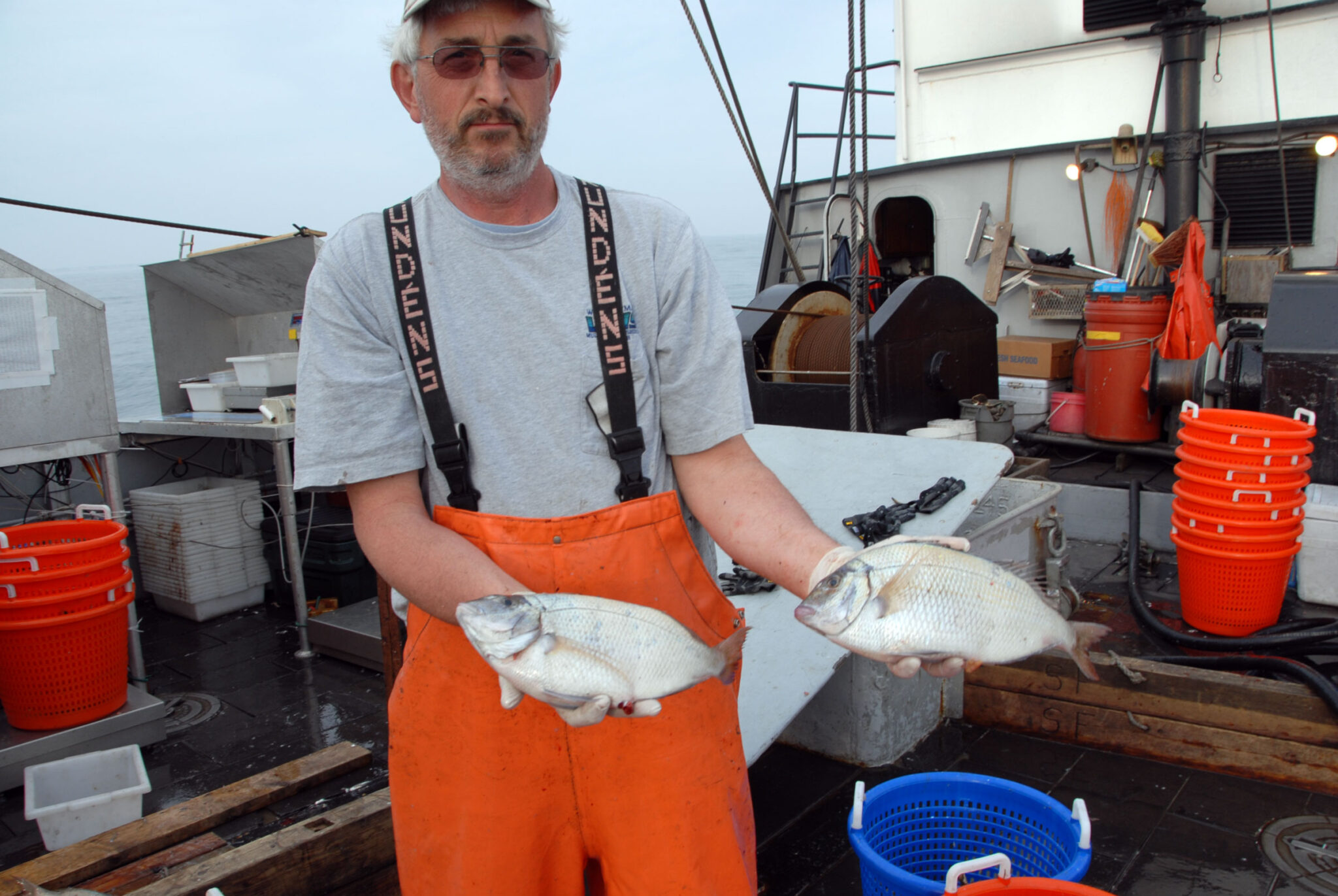 Scup - Atlantic States Marine Fisheries Commission