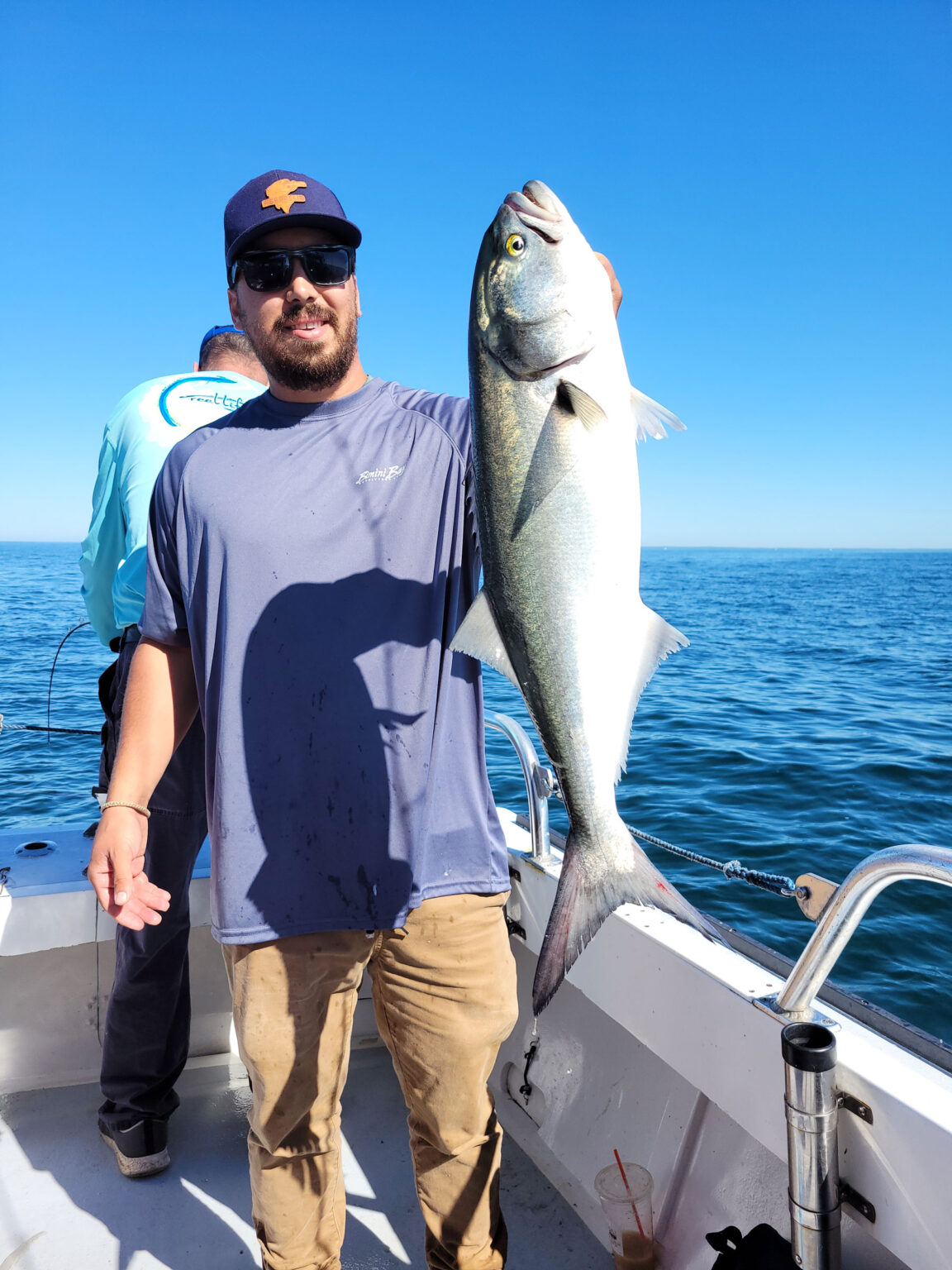 Bluefish - Atlantic States Marine Fisheries Commission