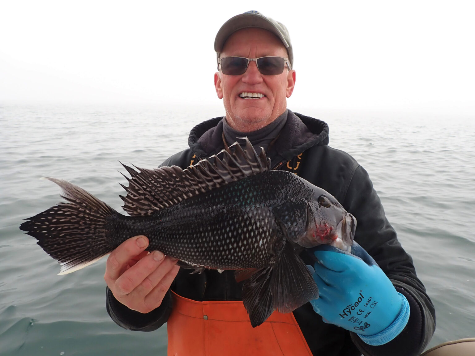 Black Sea Bass - Atlantic States Marine Fisheries Commission