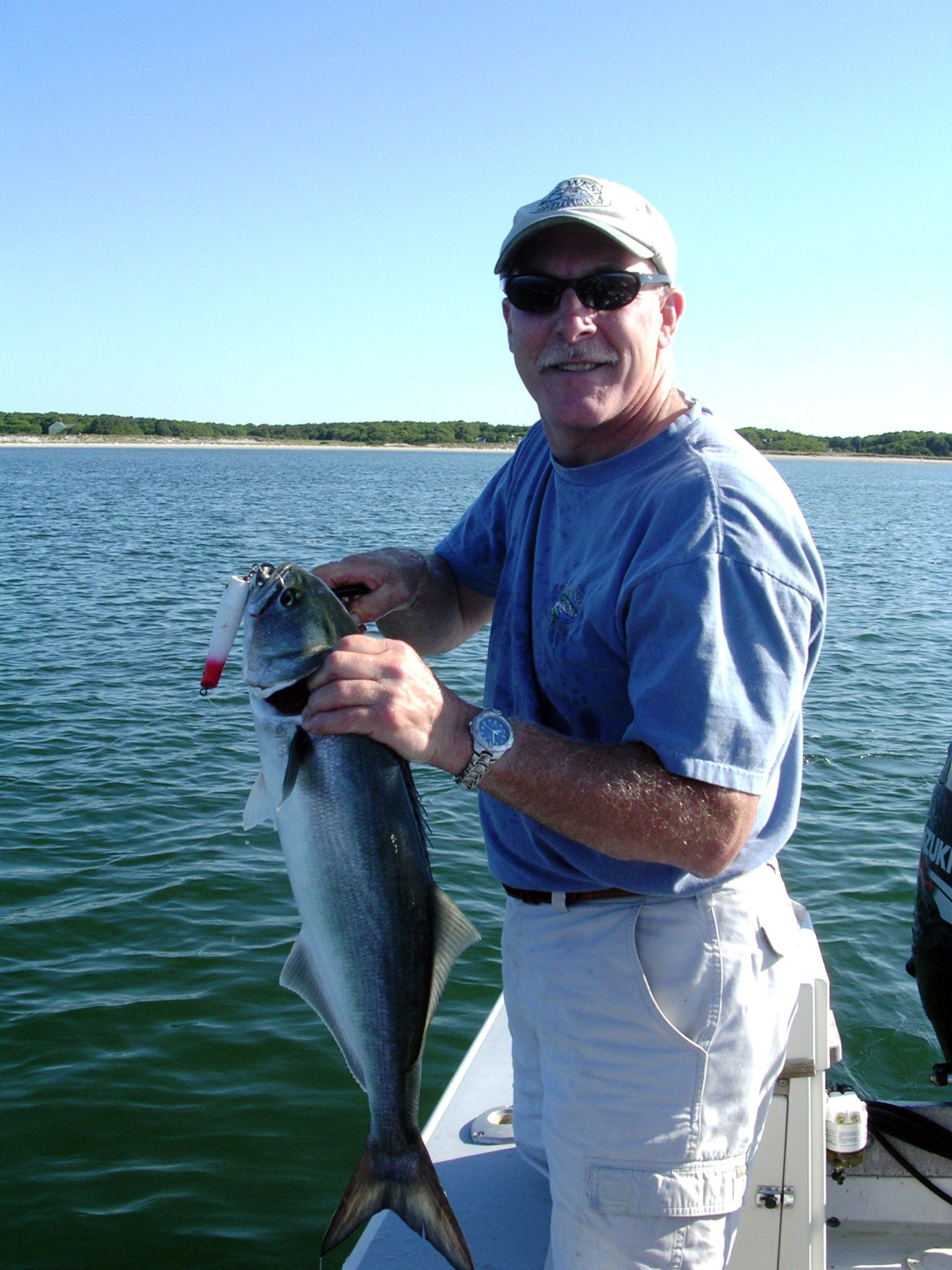 Bluefish - Atlantic States Marine Fisheries Commission