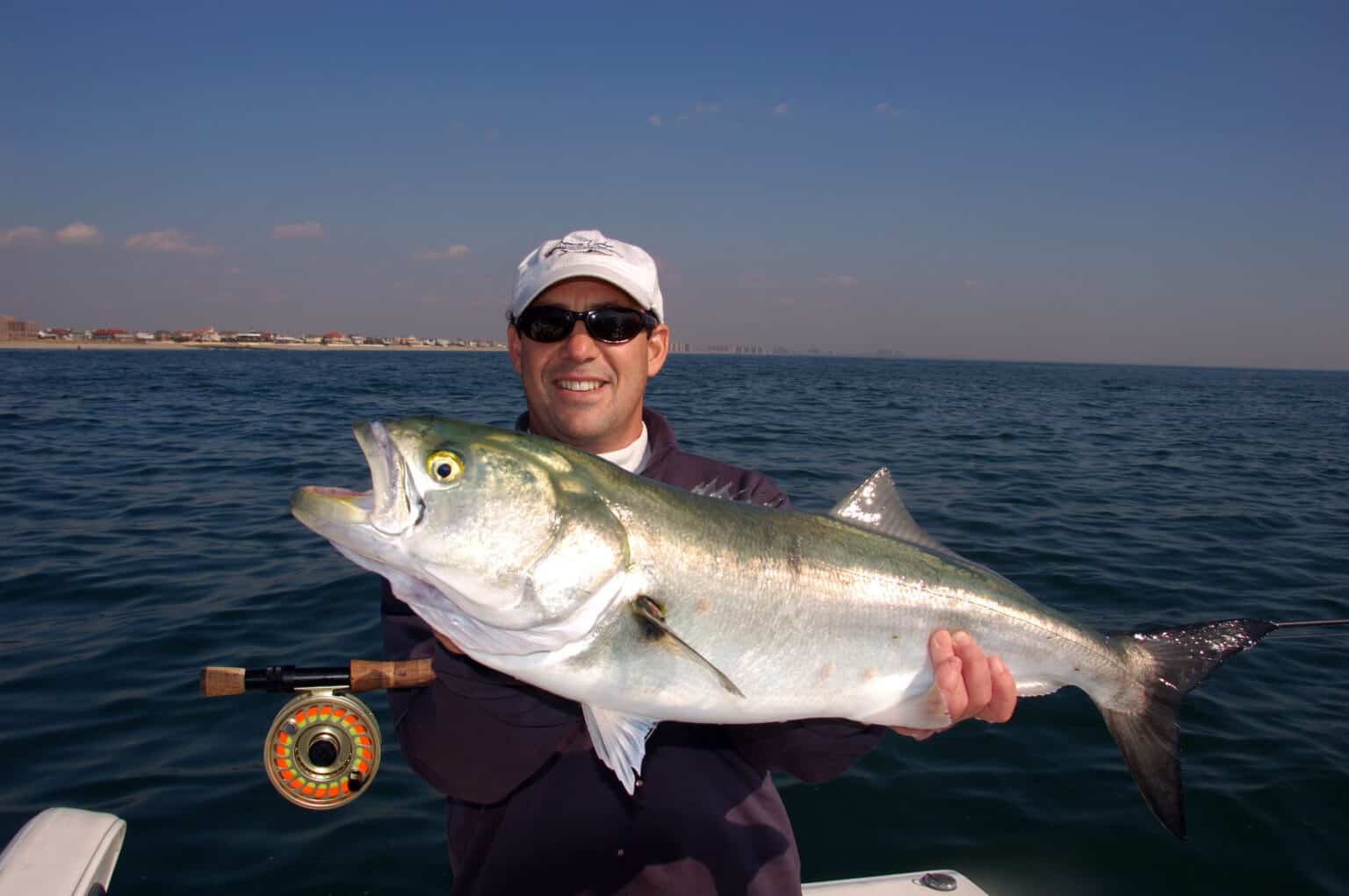 Bluefish - Atlantic States Marine Fisheries Commission