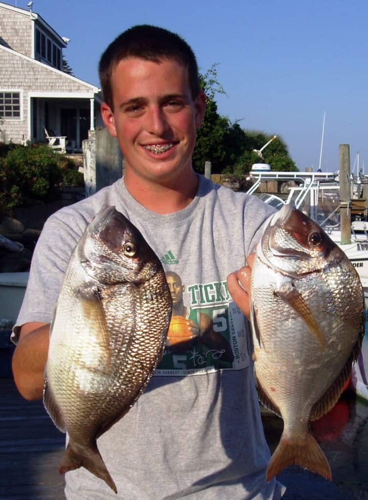 Scup - Atlantic States Marine Fisheries Commission