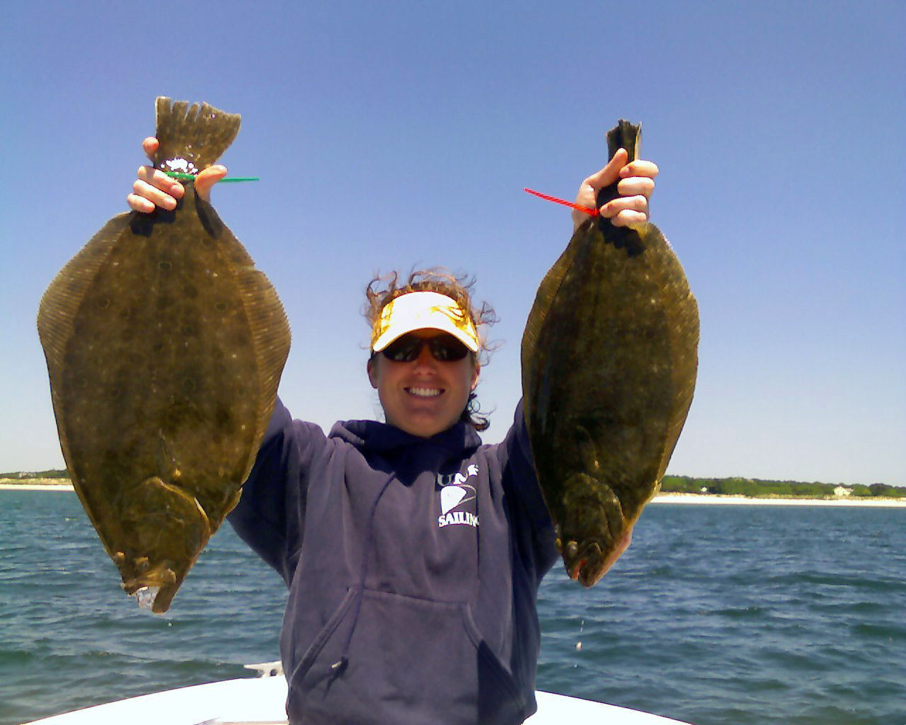 Summer Flounder - Atlantic States Marine Fisheries Commission