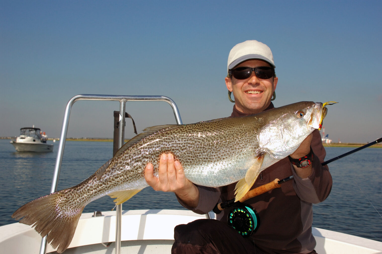 Weakfish - Atlantic States Marine Fisheries Commission