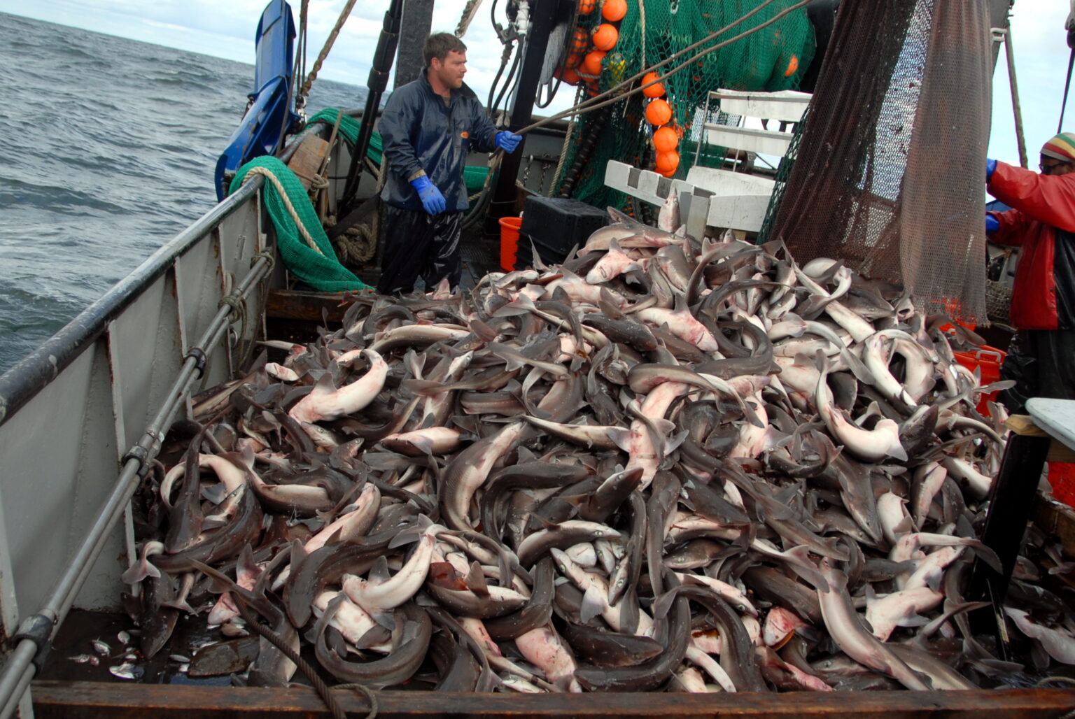Fisheries Management - Atlantic States Marine Fisheries Commission