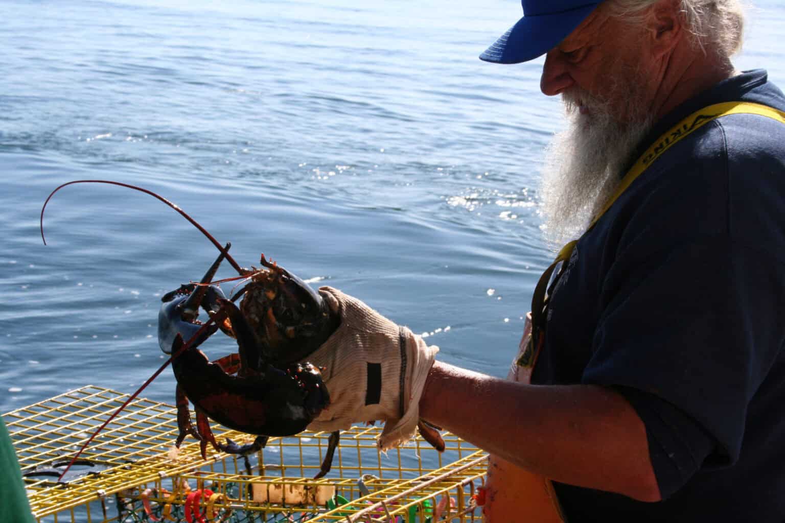 Fisheries Management - Atlantic States Marine Fisheries Commission