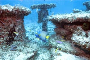 Artificial Reefs - Atlantic States Marine Fisheries Commission