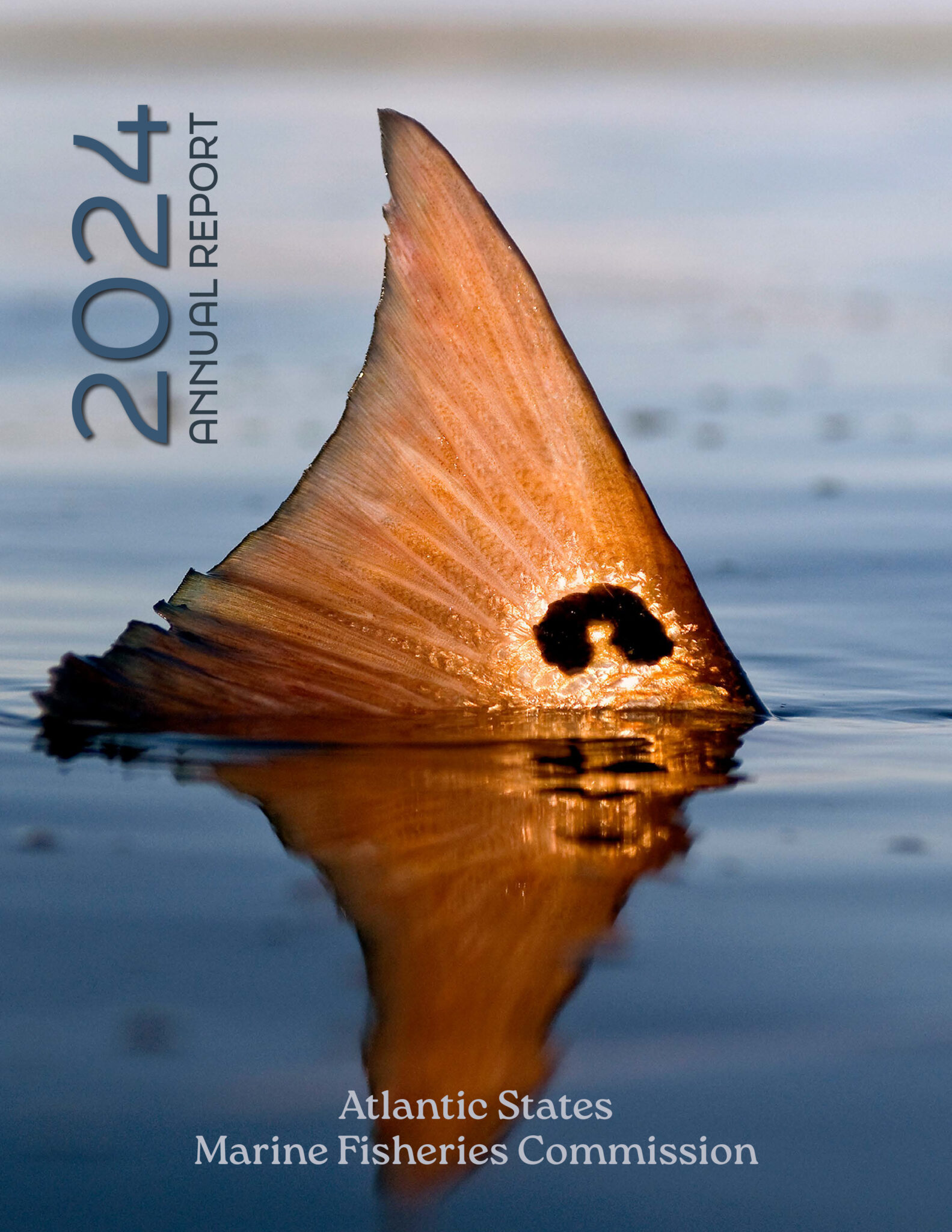 About Us - Atlantic States Marine Fisheries Commission